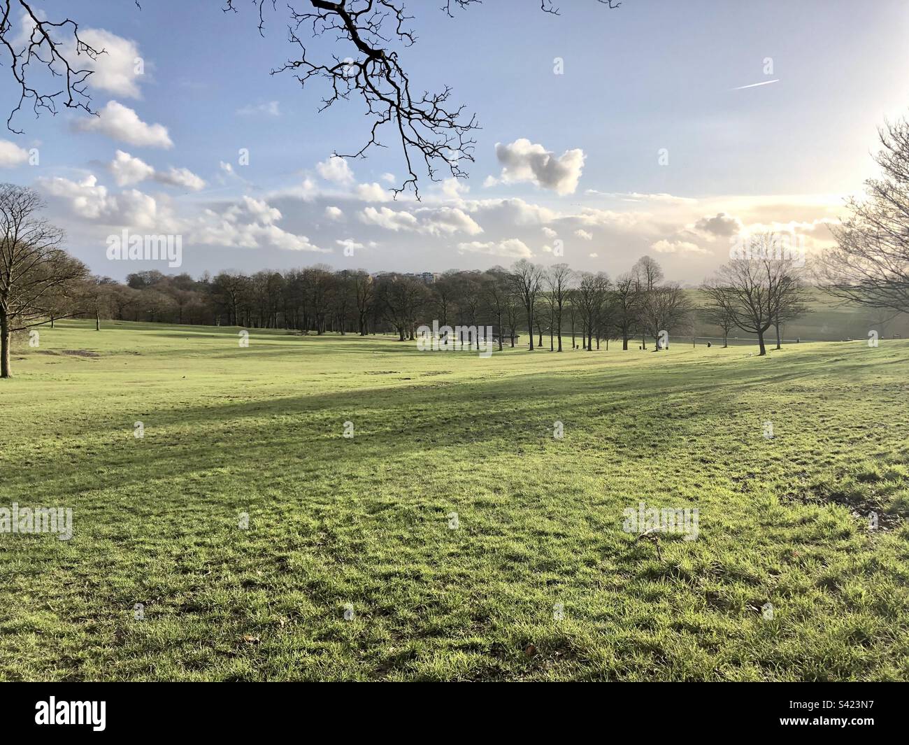 Sunny fields hi-res stock photography and images - Alamy