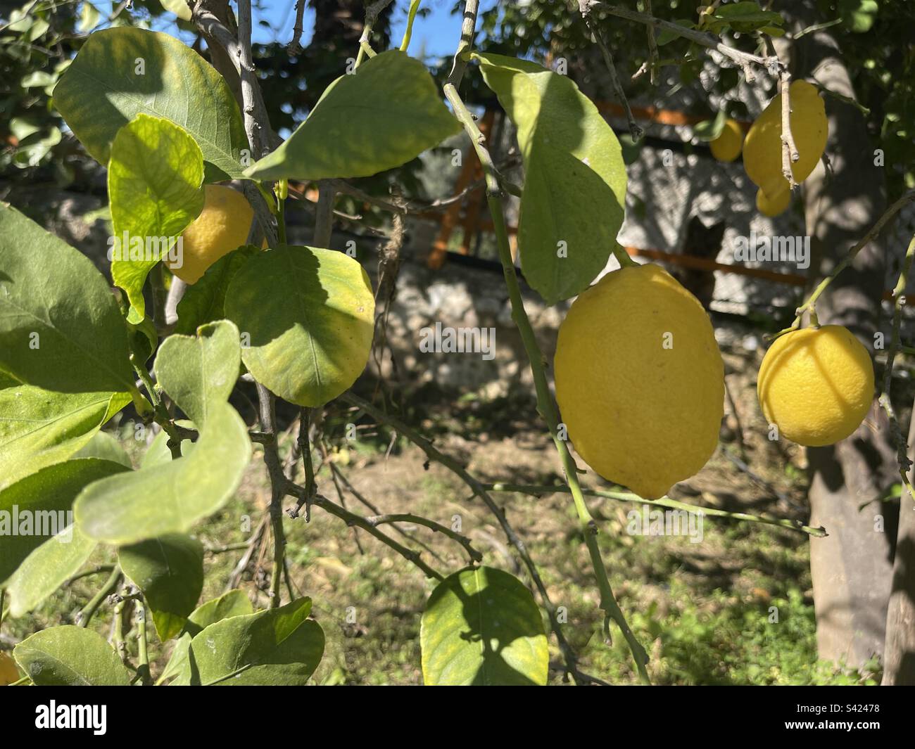 Good beautiful hi-res stock photography and images - Alamy