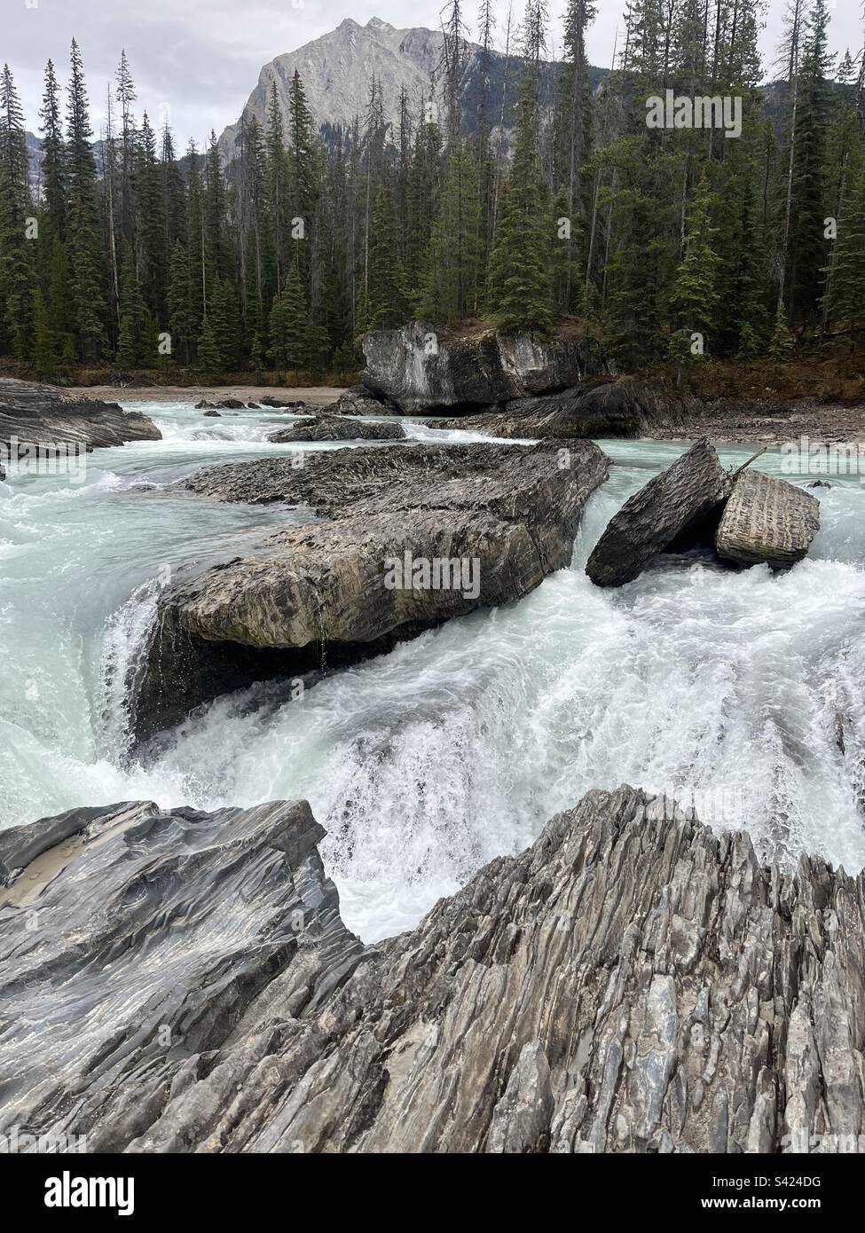 Natural Bridge Lower Falls in Canada Stock Photo - Alamy