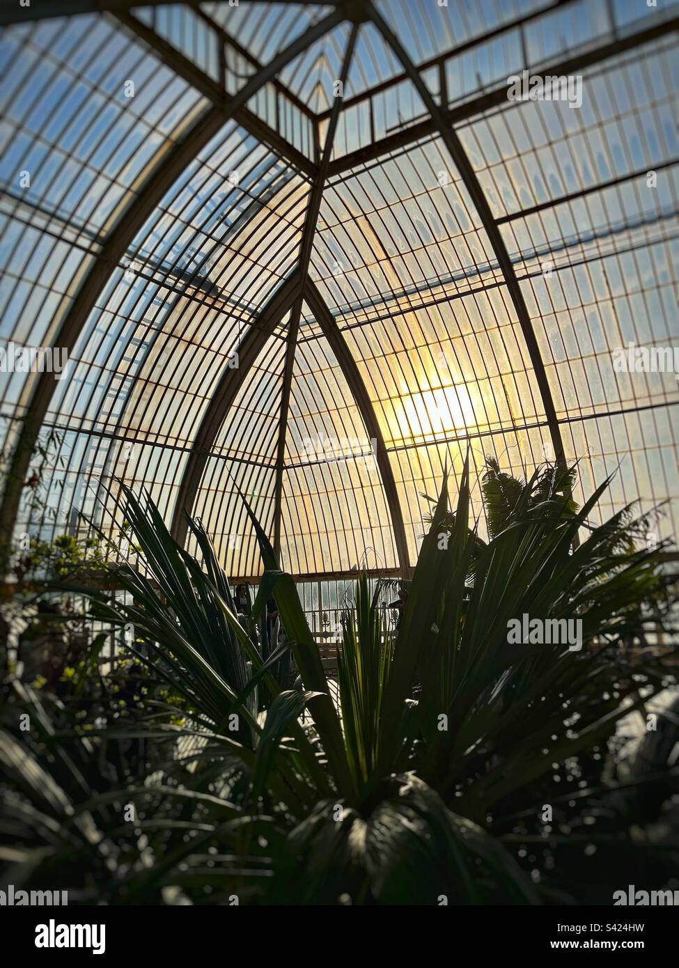 Greenhouse silhouette hi-res stock photography and images - Alamy