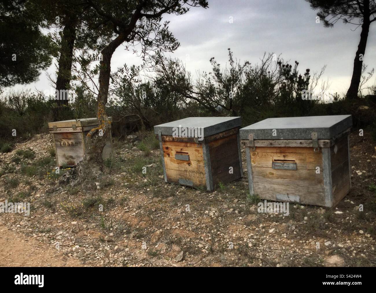 Beehives spain hi-res stock photography and images - Alamy