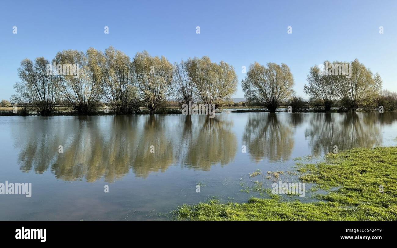 Flooding river severn hi-res stock photography and images - Alamy
