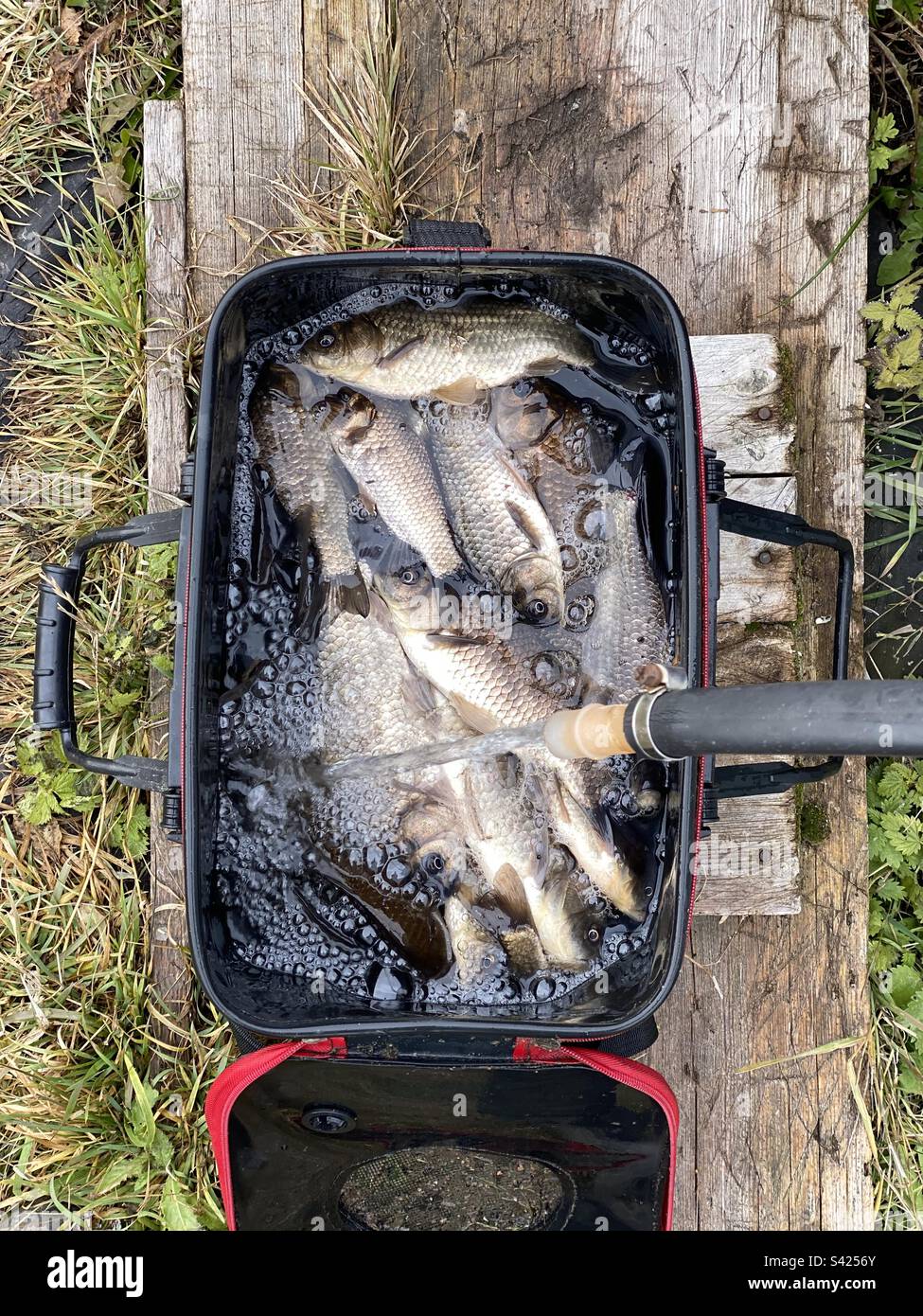 Fish container hi-res stock photography and images - Alamy