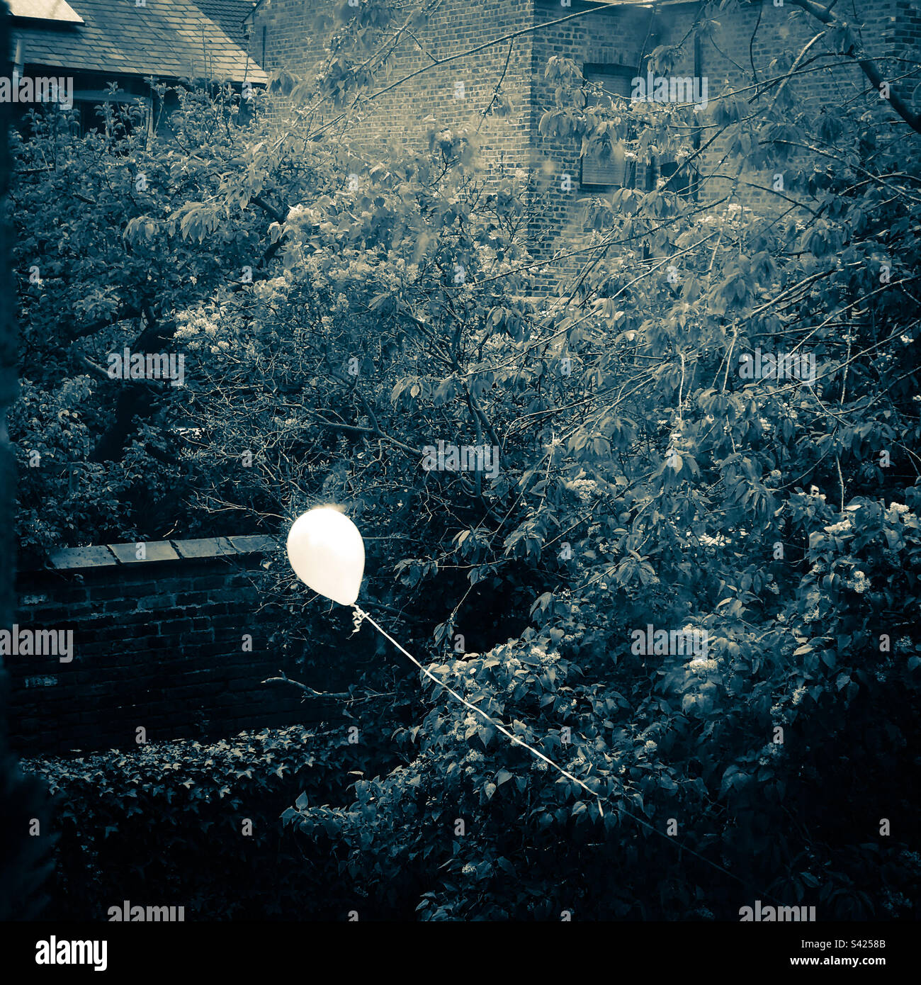 Lone white balloon Stock Photo - Alamy