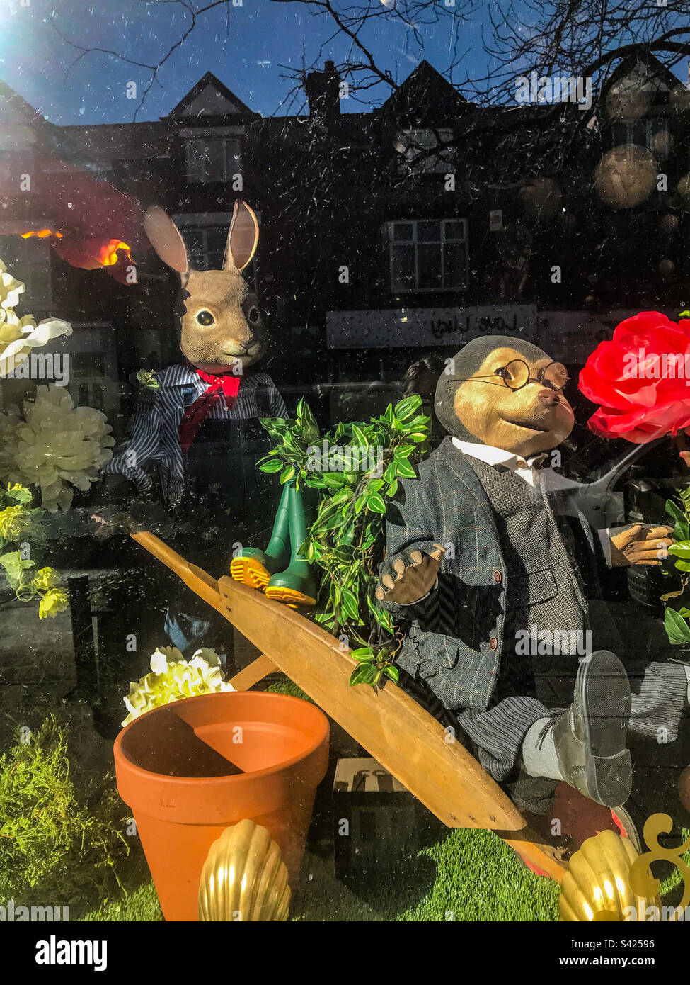 Curious Fox gift shop Stock Photo - Alamy