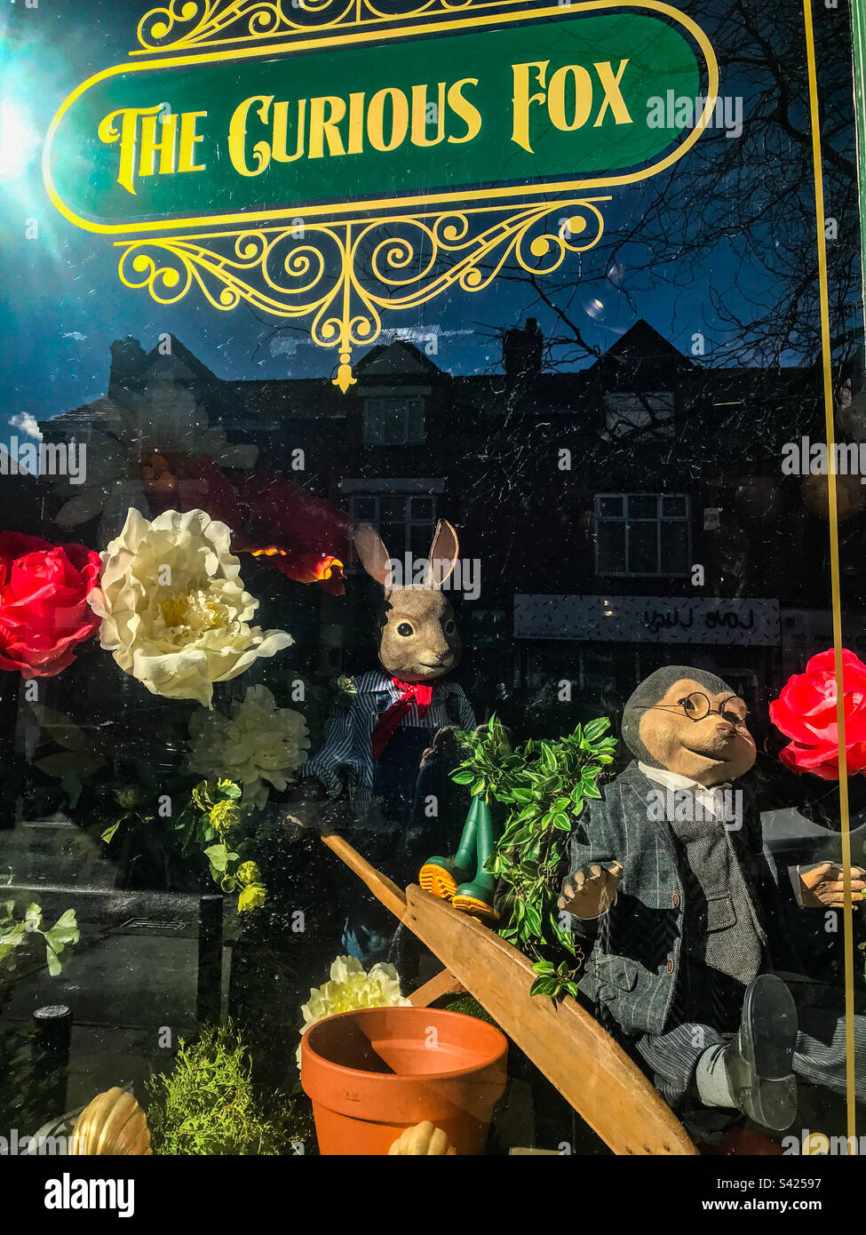 Curious shop hi-res stock photography and images - Alamy