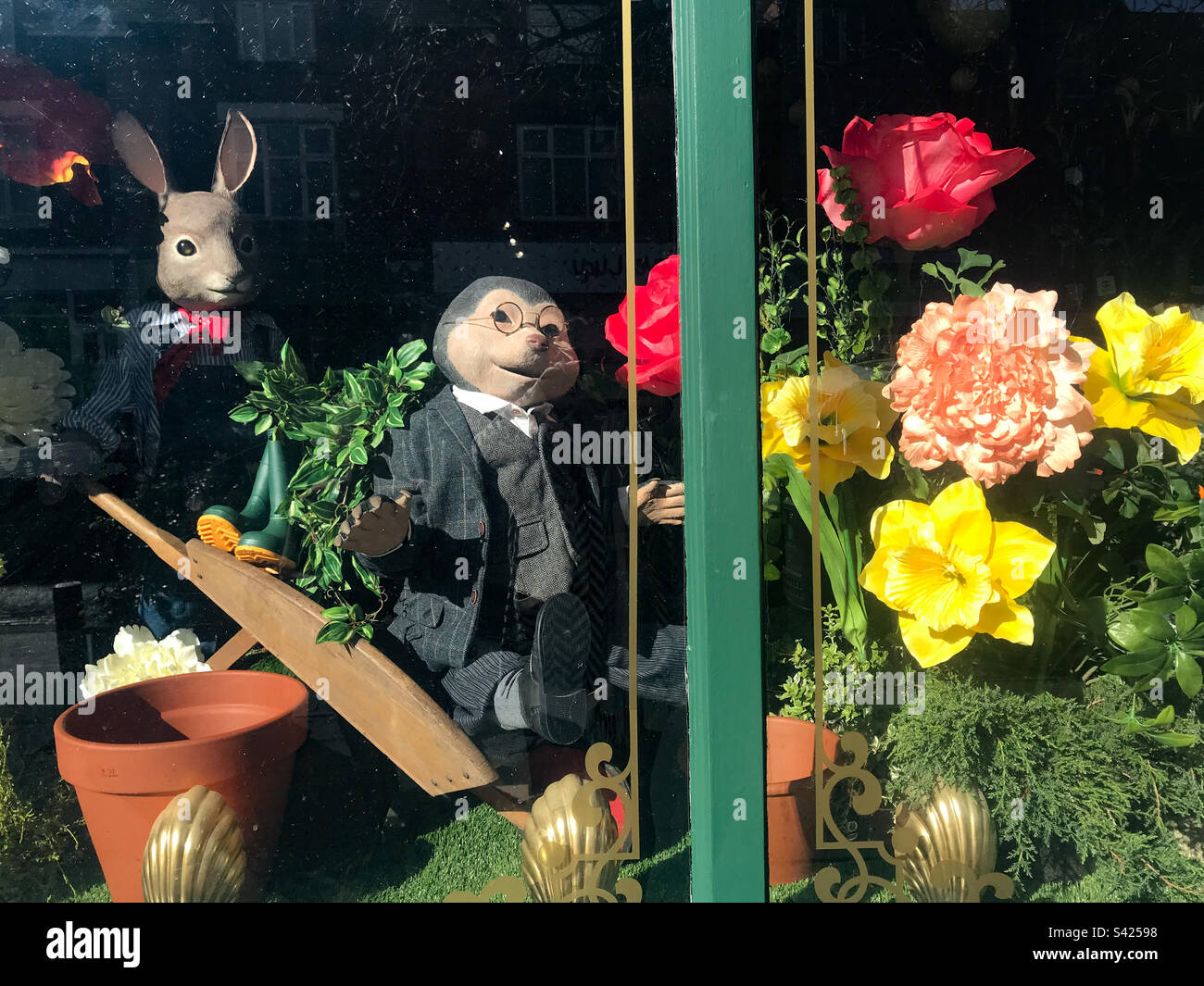 Curious fox gift shop Stock Photo - Alamy