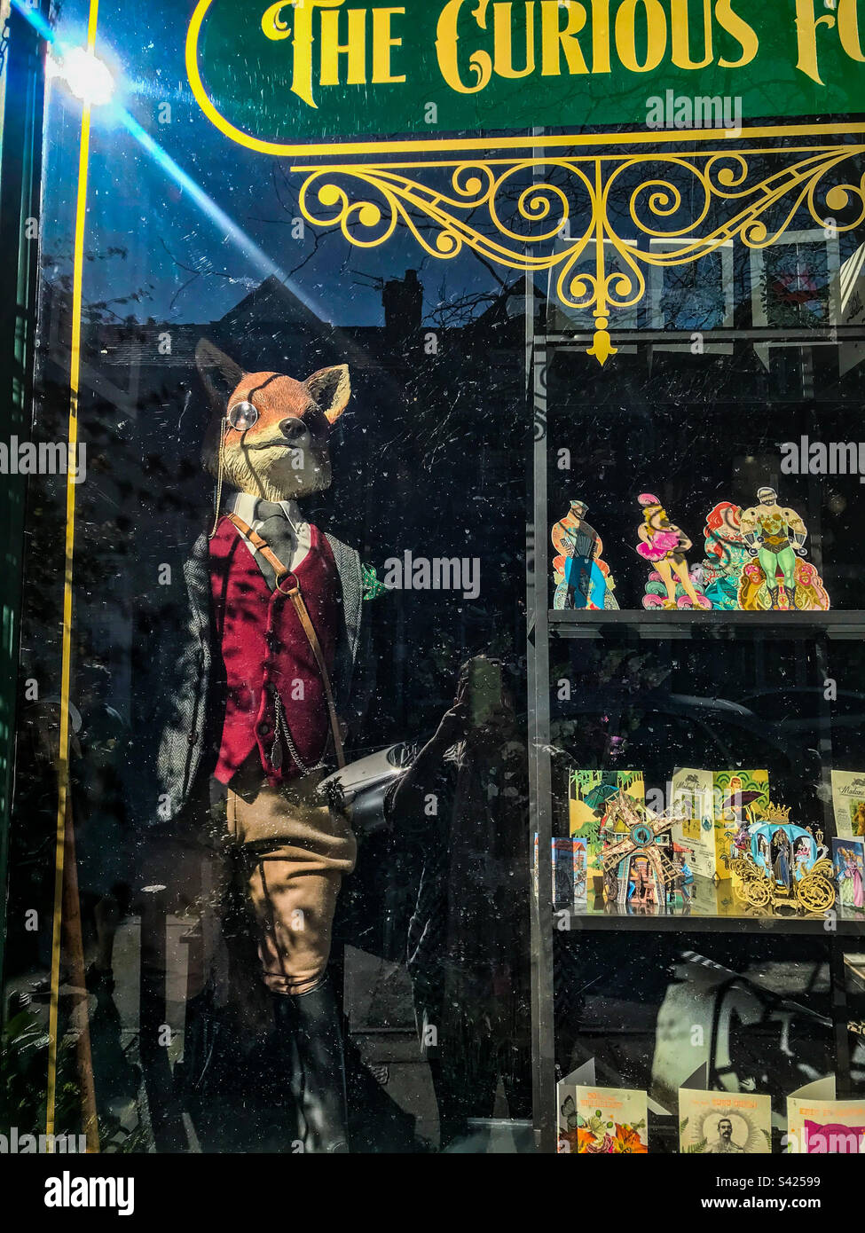 Curious fox gift shop Stock Photo - Alamy