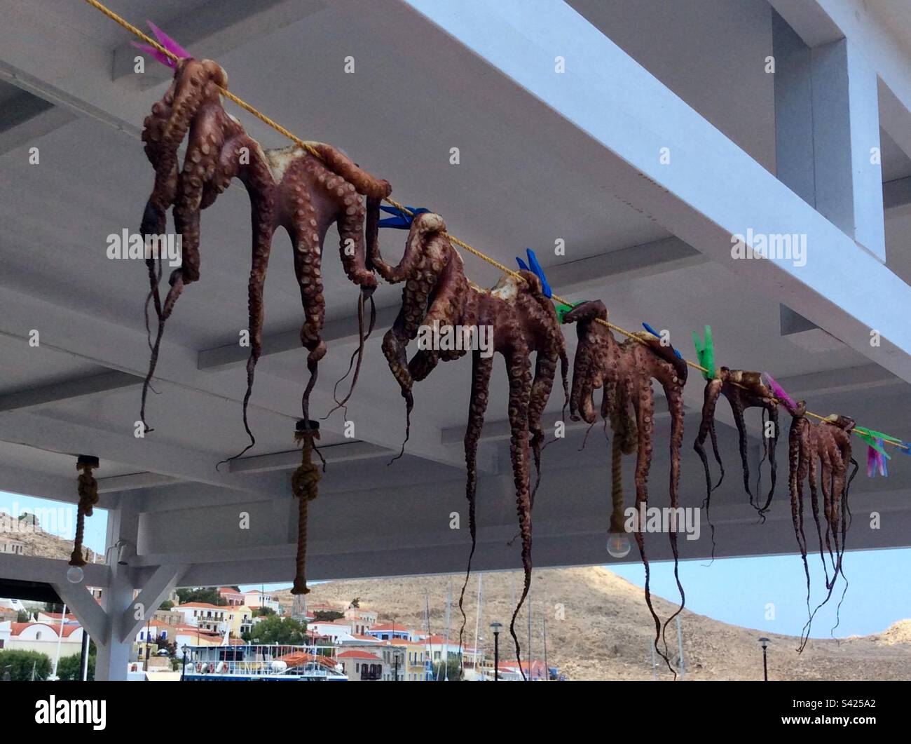 Drying octopus line in Greece Stock Photo - Alamy