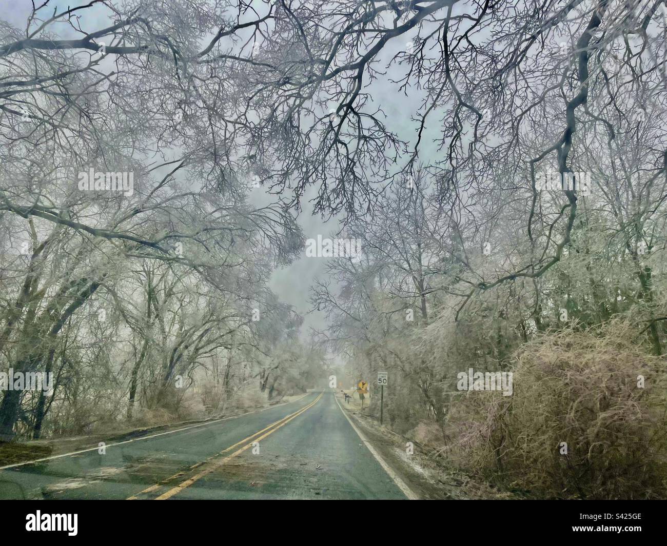 Michigan ice storm Stock Photo - Alamy