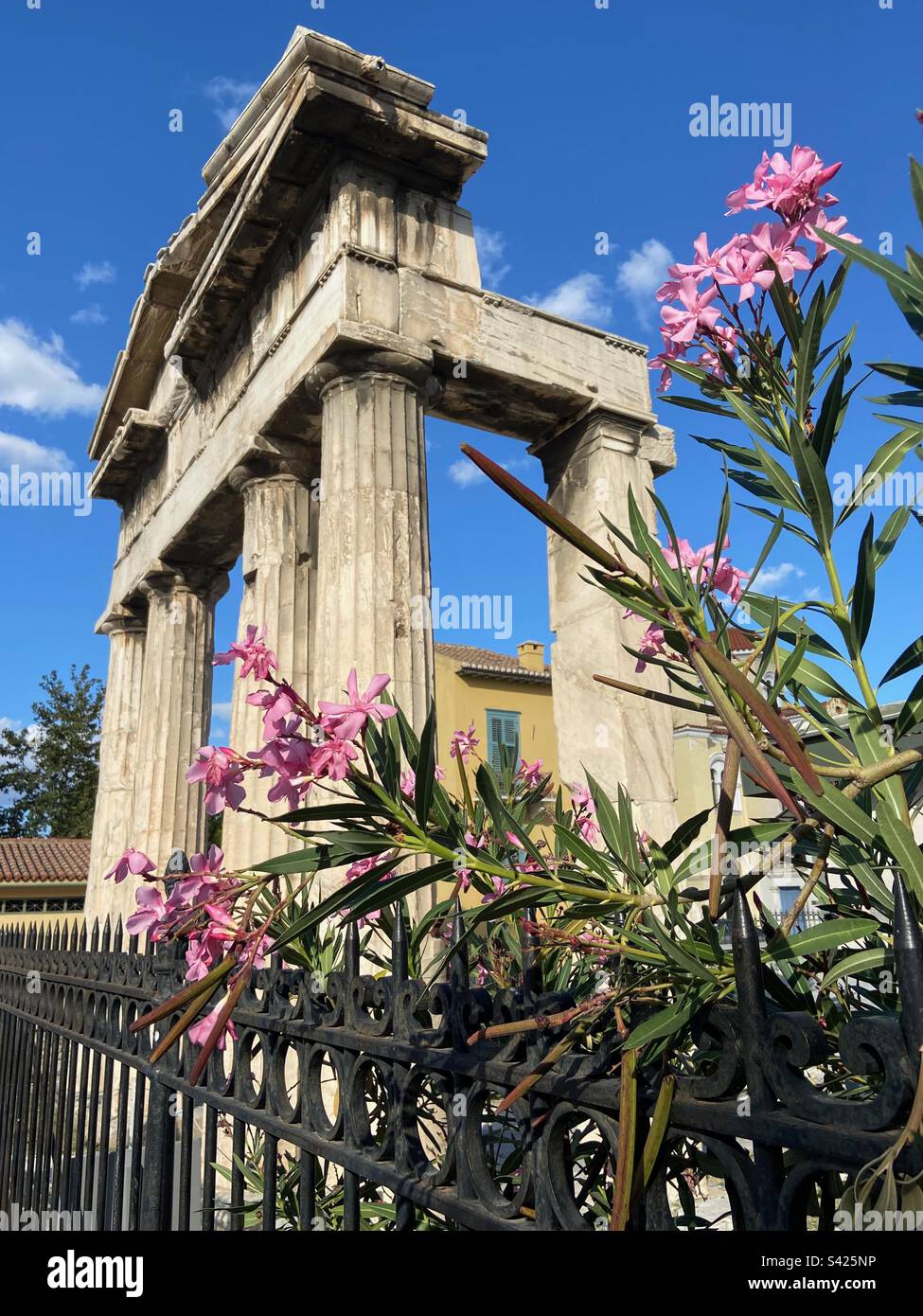 Pink on ruins Stock Photo - Alamy