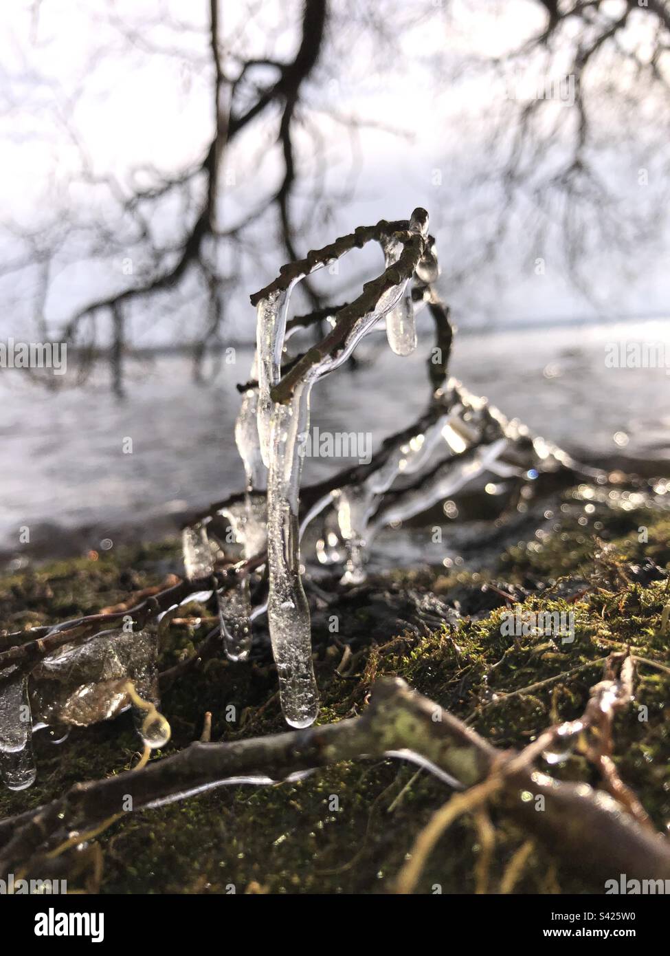 Eis hi-res stock photography and images - Alamy