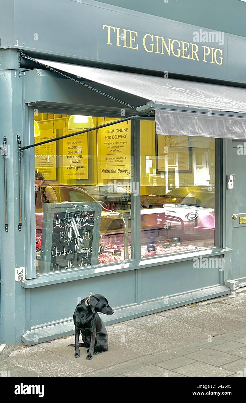 The ginger pig butchers hi-res stock photography and images - Alamy