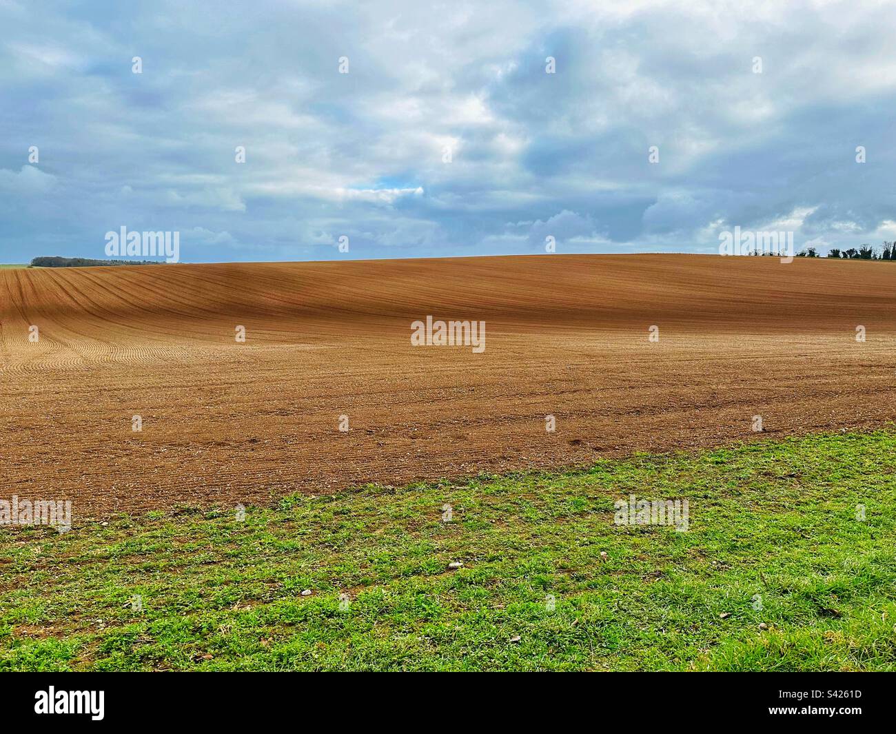 Empty field in winter with grass verge and cloudy skies Stock Photo - Alamy