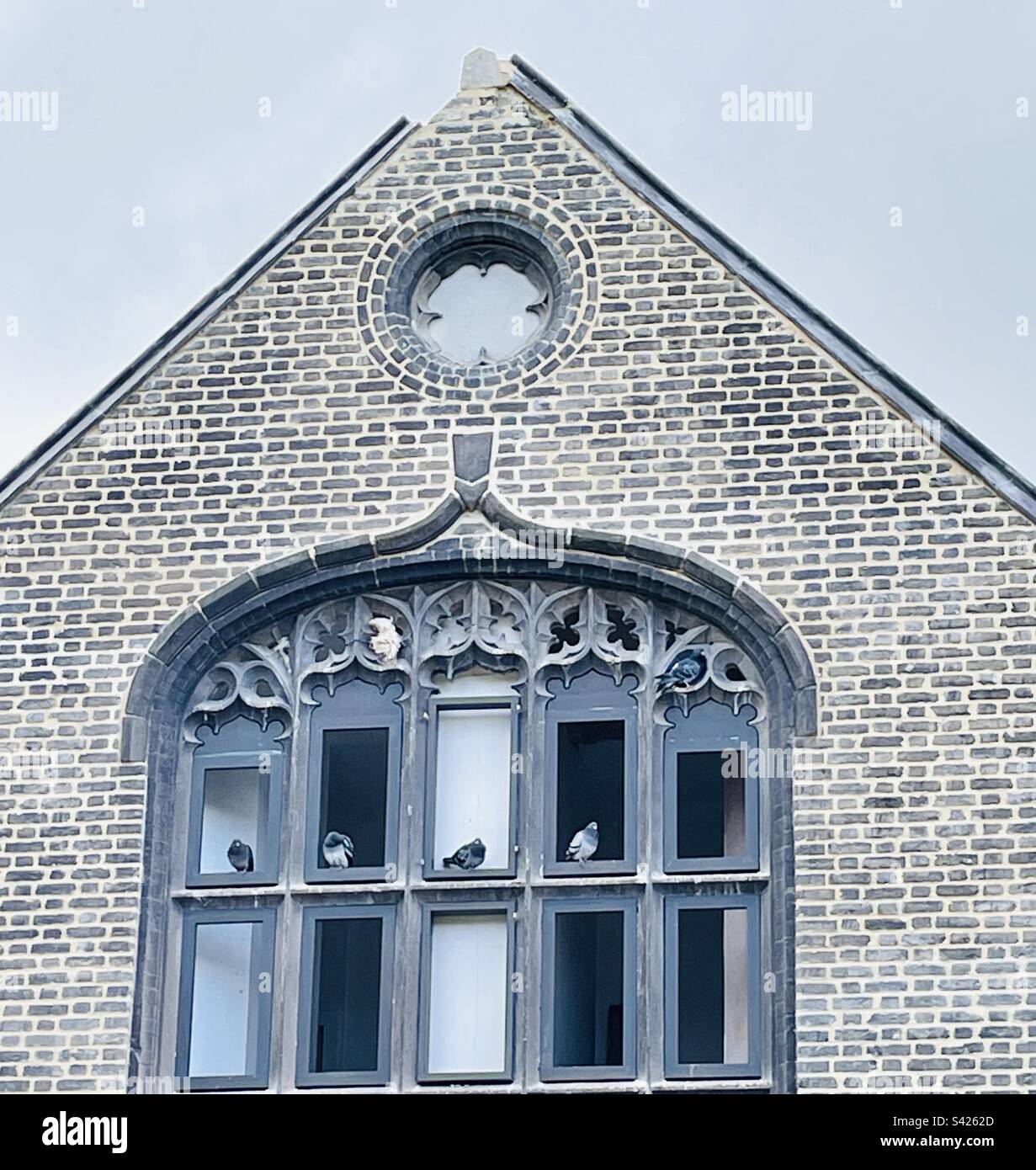 Birds on ledge hi-res stock photography and images - Alamy