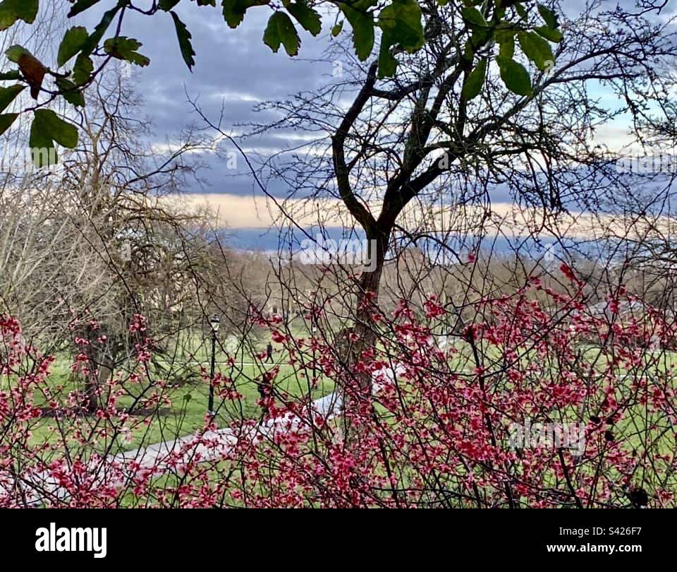 Colours of Spring Stock Photo - Alamy