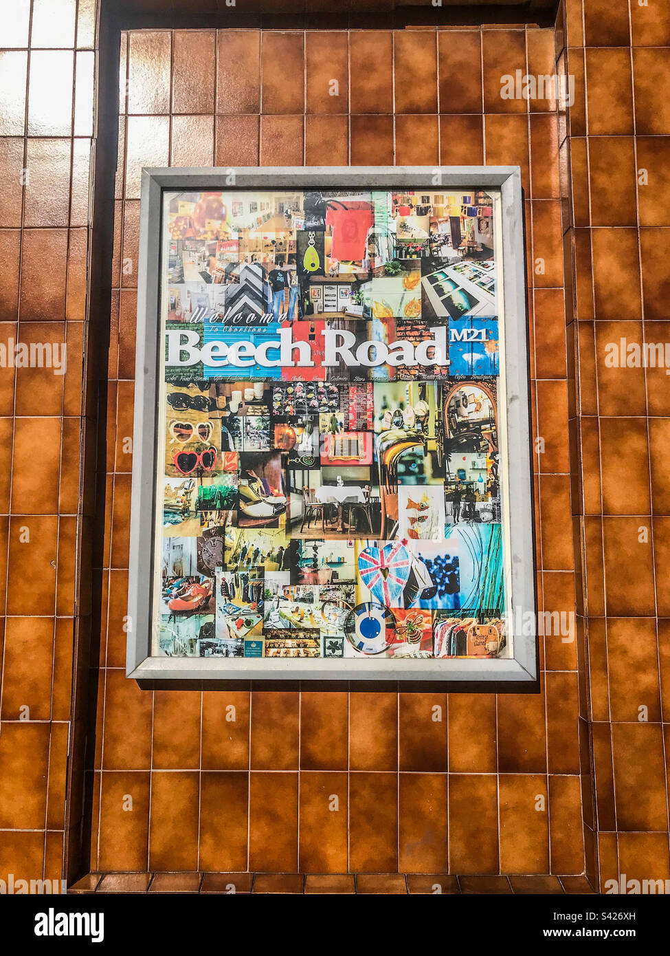 Beech road hi-res stock photography and images - Alamy