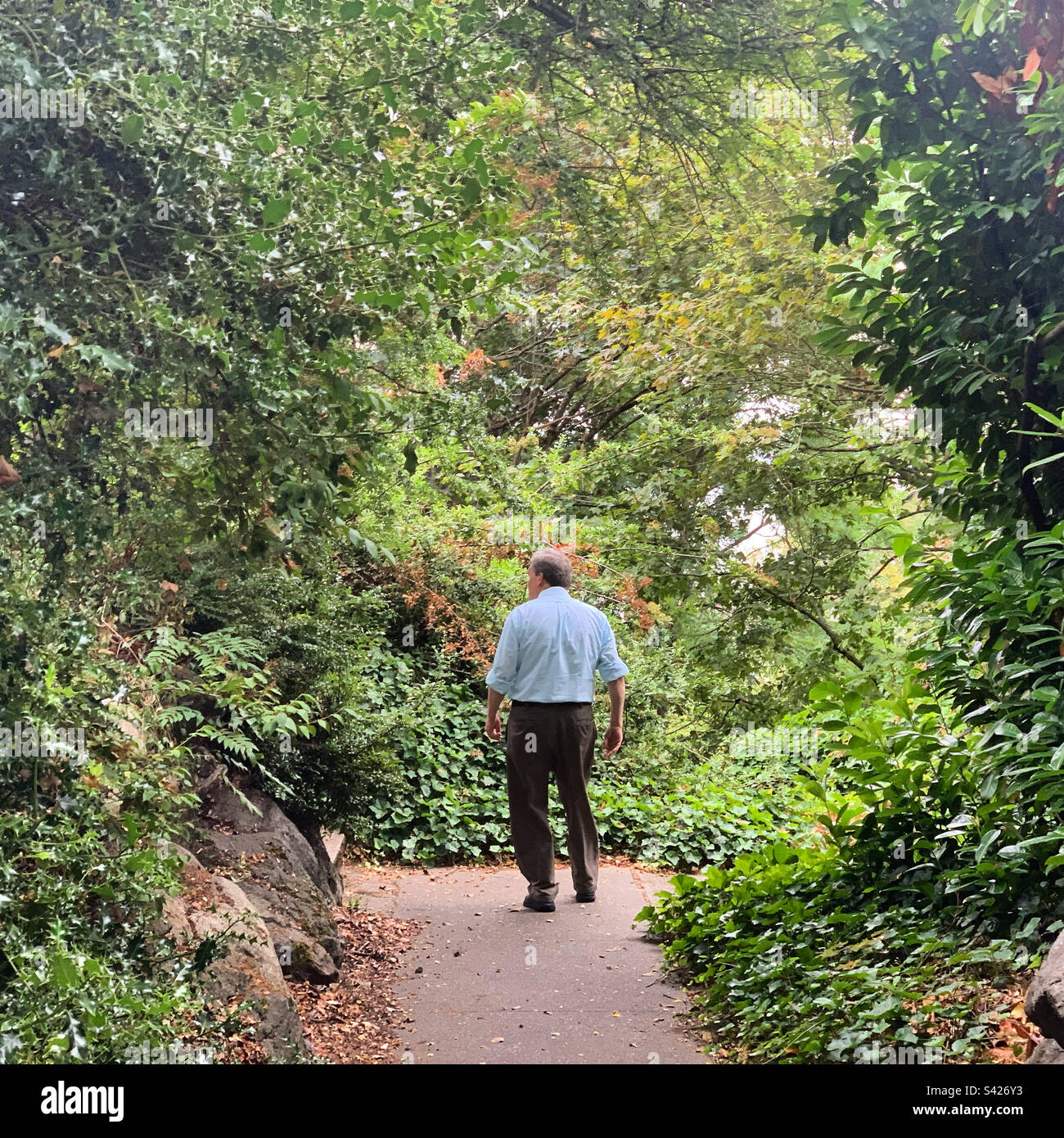 August, 2022, a man walking on a path in the Queen Anne Hill ...
