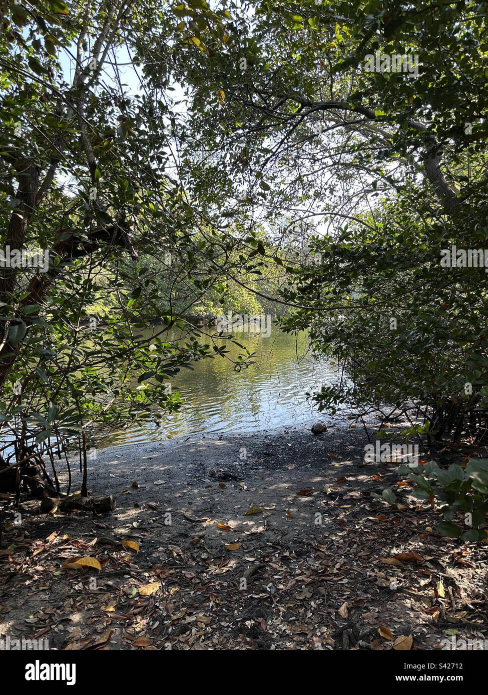 Snake creek hi-res stock photography and images - Alamy