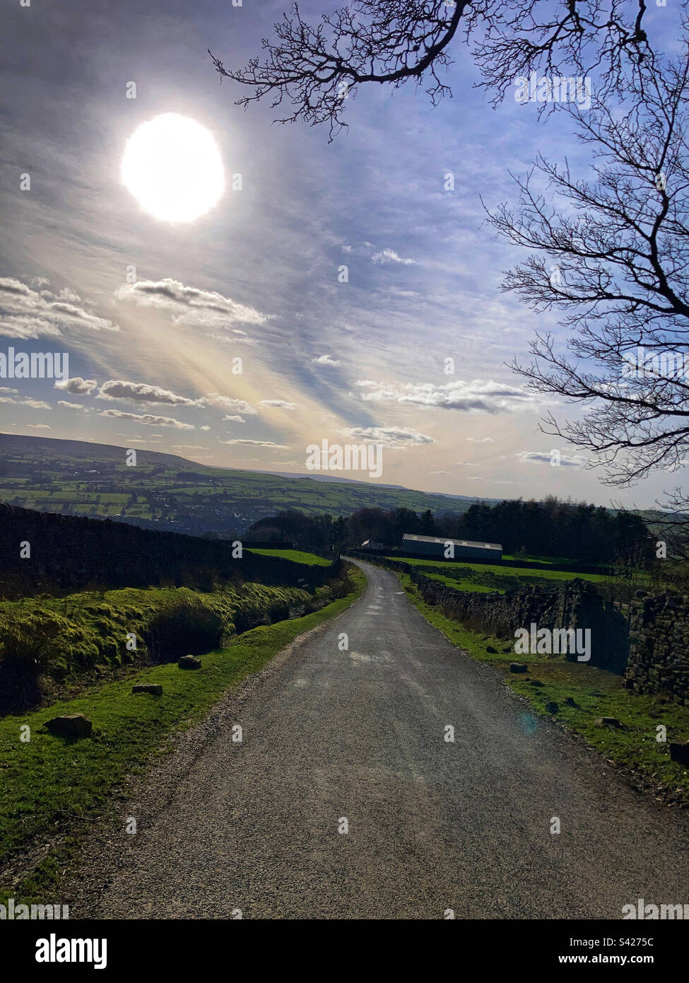 Rural road in Langbar Wharfedale North Yorkshire Stock Photo - Alamy