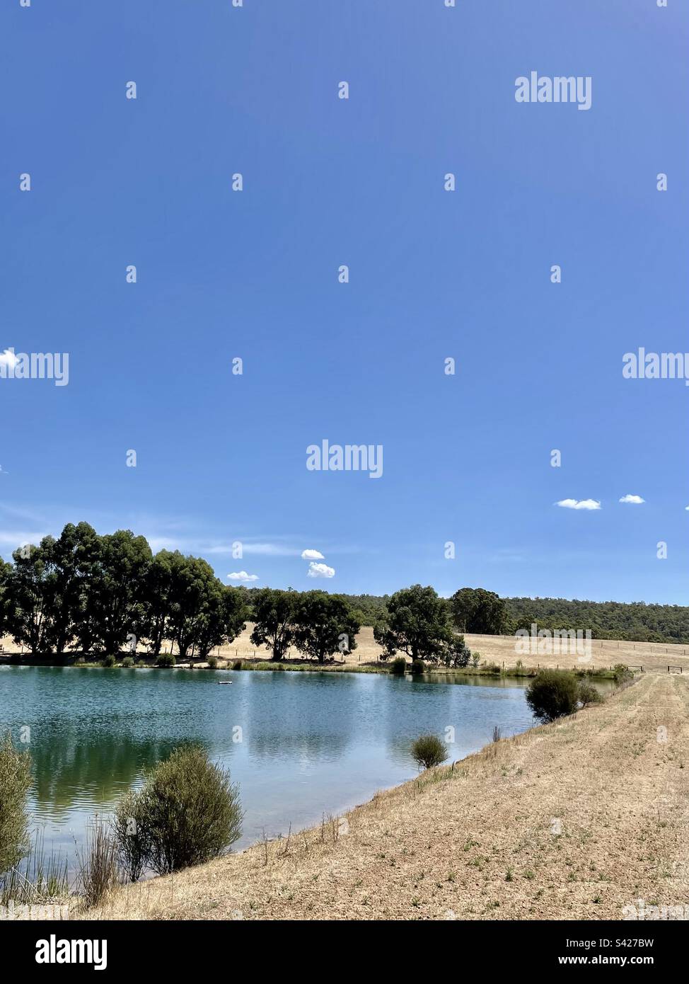 Summer farm hi-res stock photography and images - Alamy