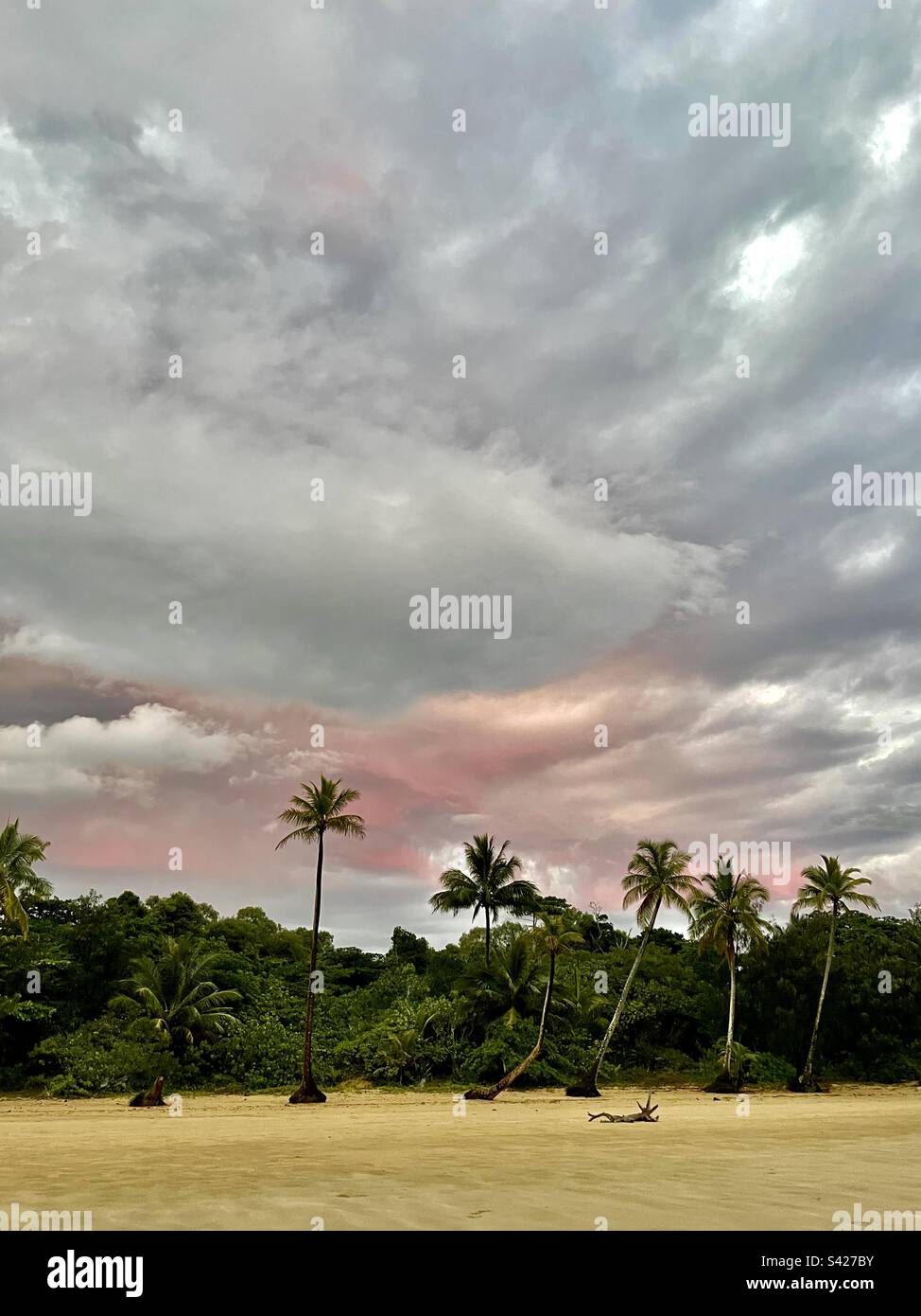 Trees with stormy sky hi-res stock photography and images - Alamy