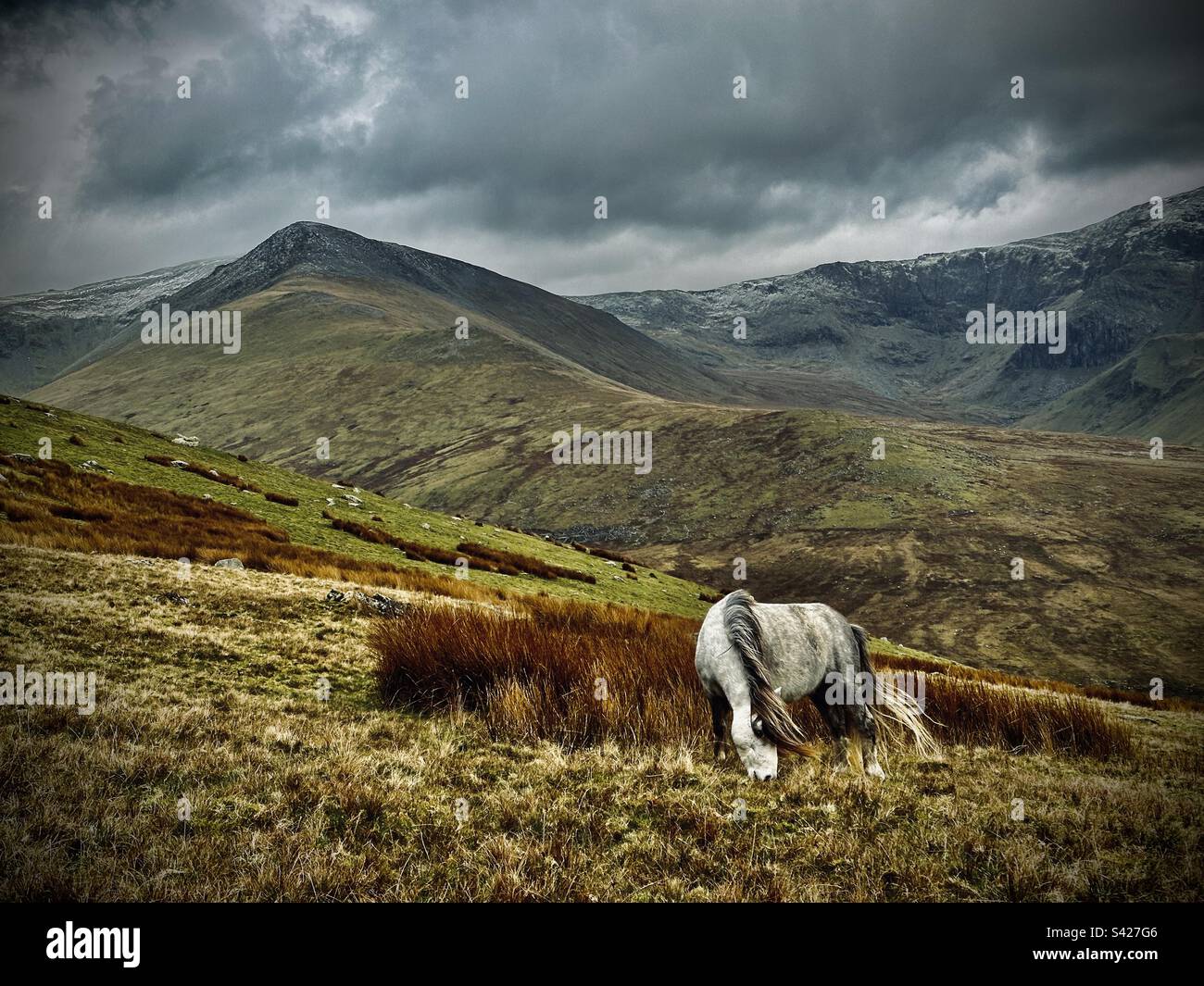 Wild north wales hi-res stock photography and images - Alamy