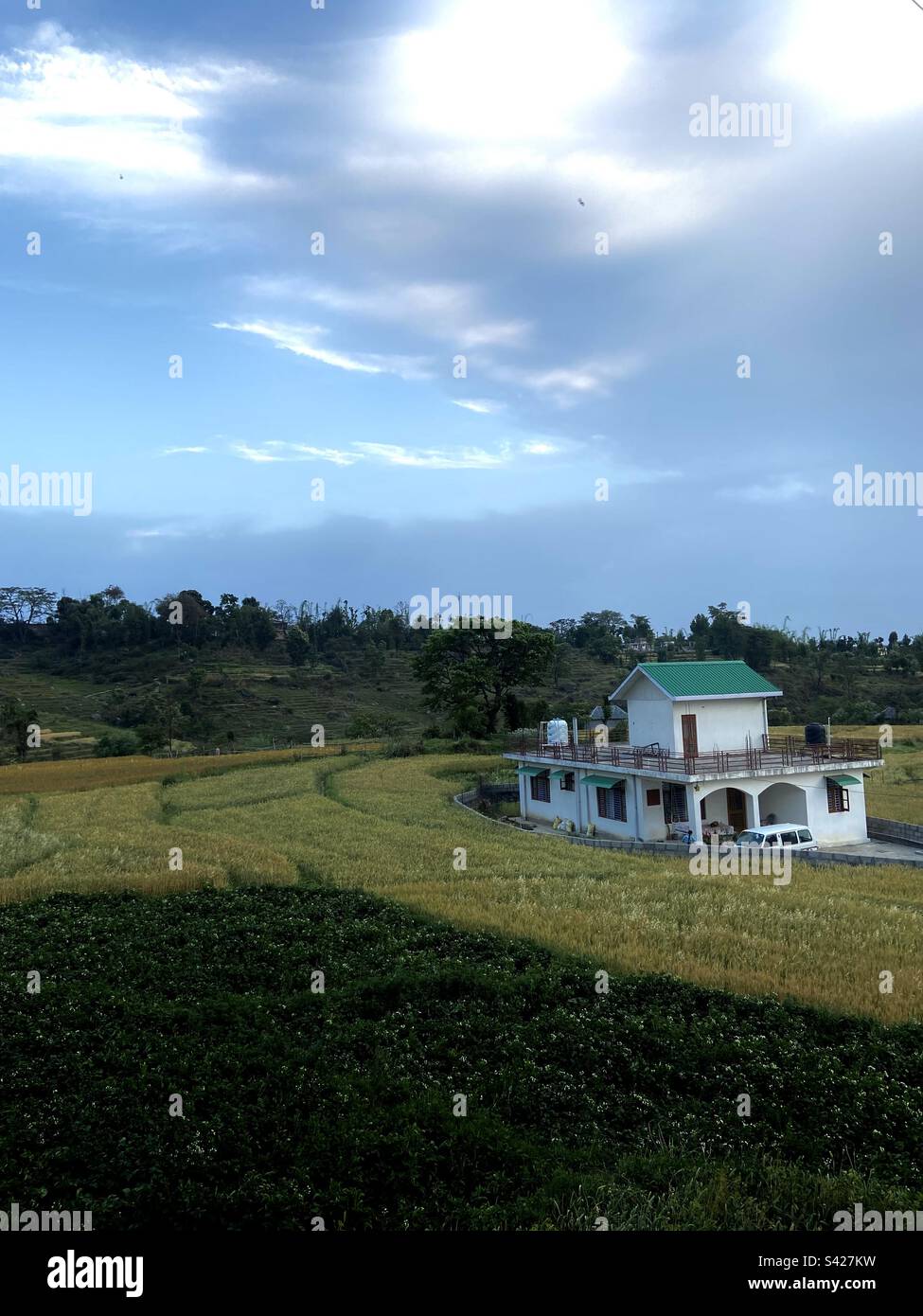 Palampur himachal pradesh hi-res stock photography and images - Alamy
