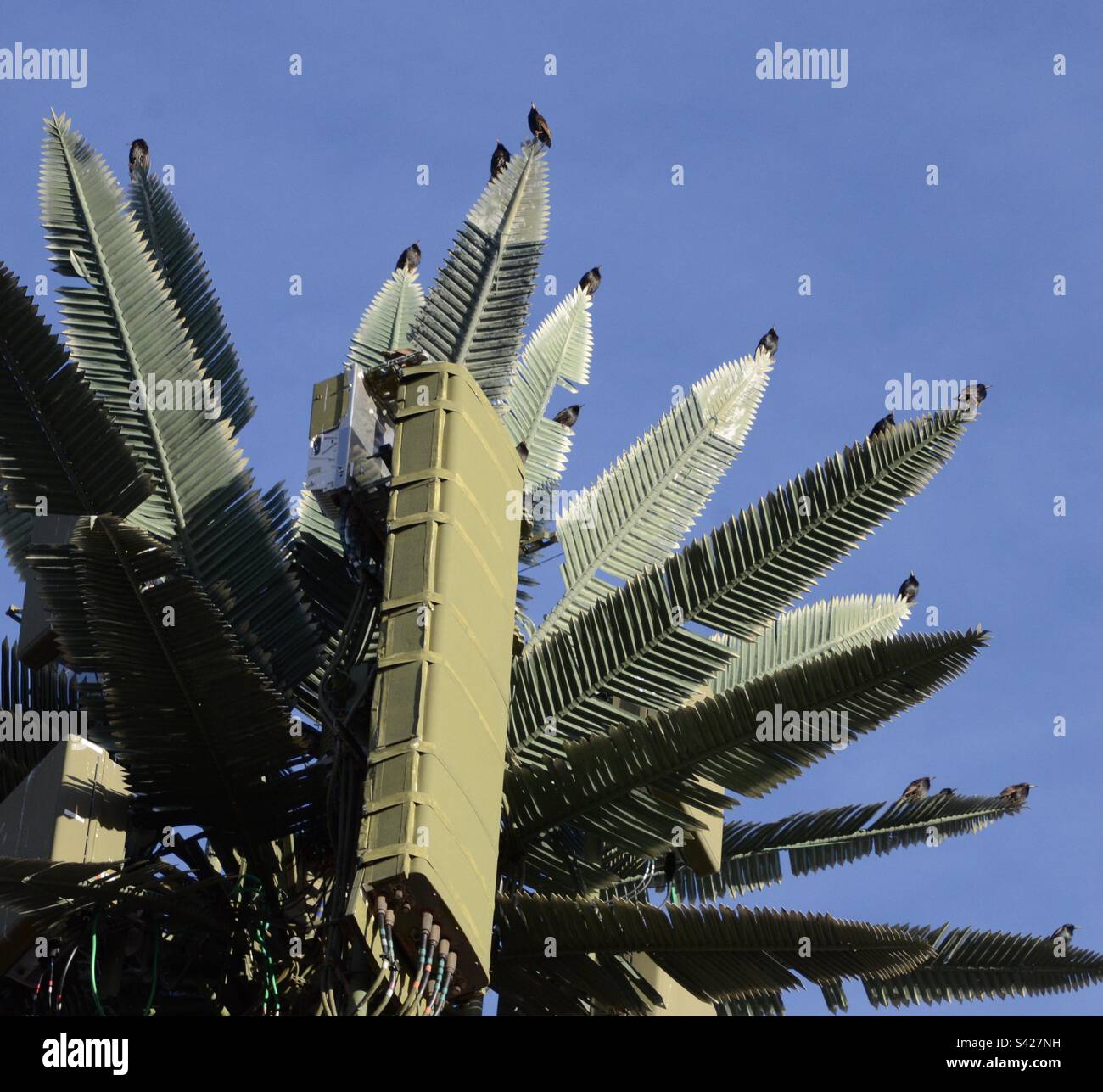 Cell tower hi-res stock photography and images - Alamy