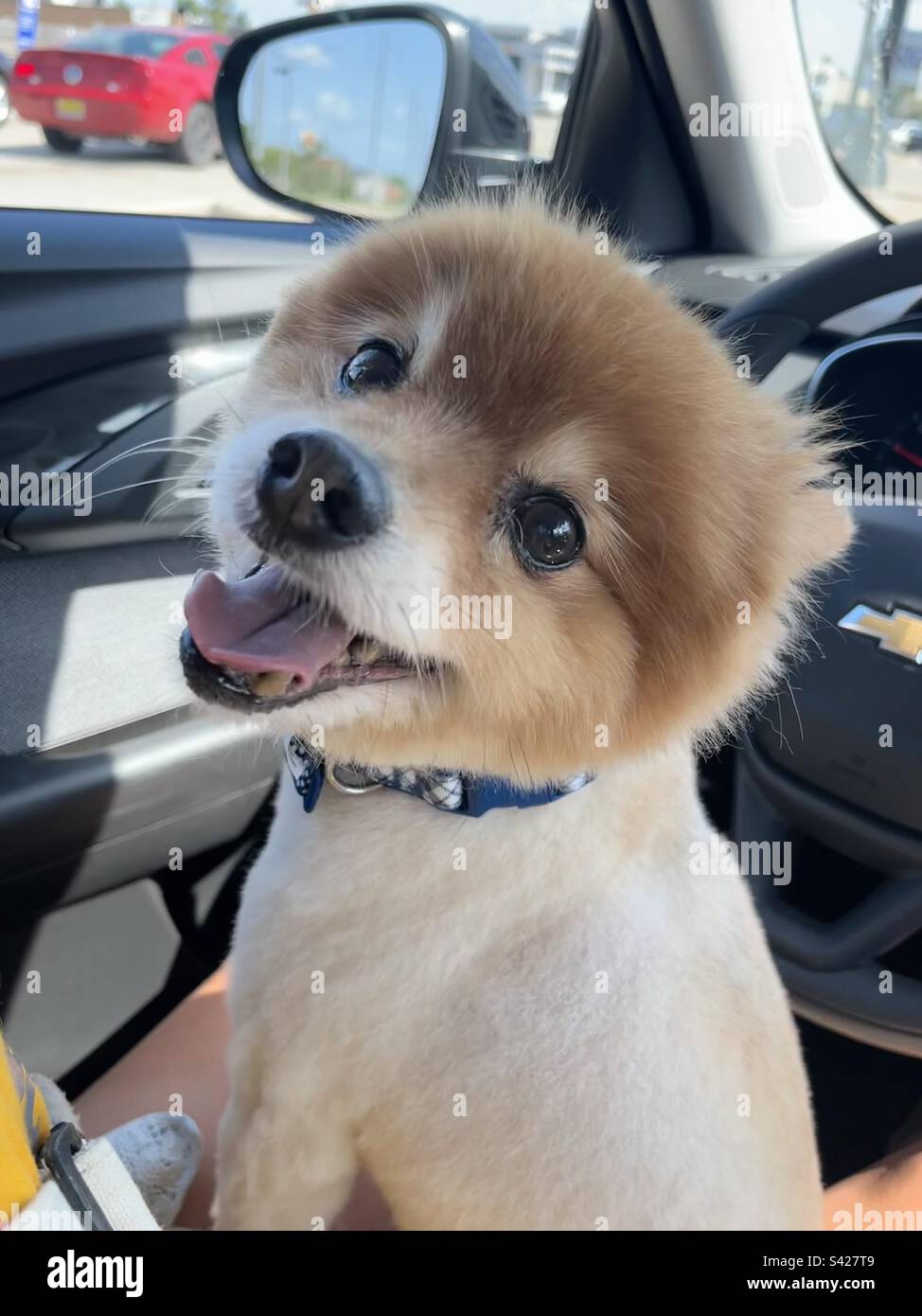 Happy with the new hair cut Stock Photo - Alamy