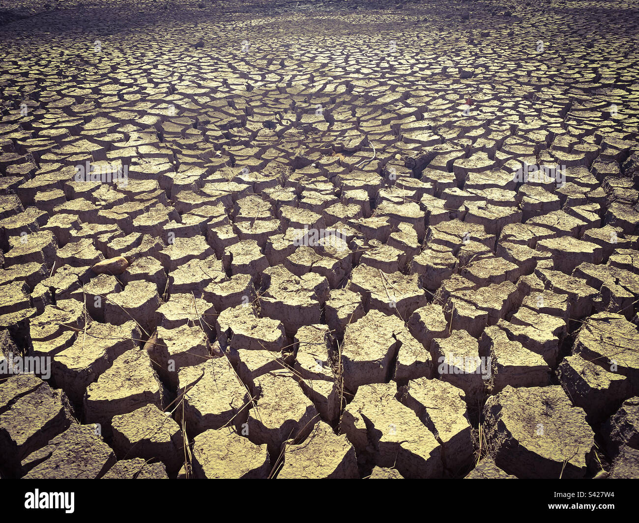 View of a totally dru pond due to extreme drought Stock Photo - Alamy