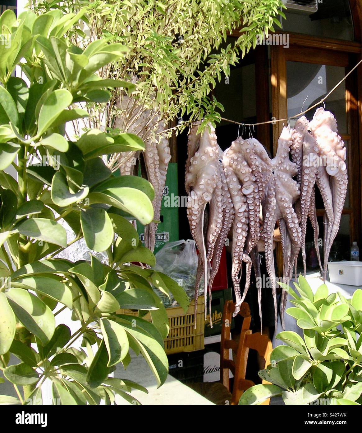 Kalamari hi-res stock photography and images - Alamy