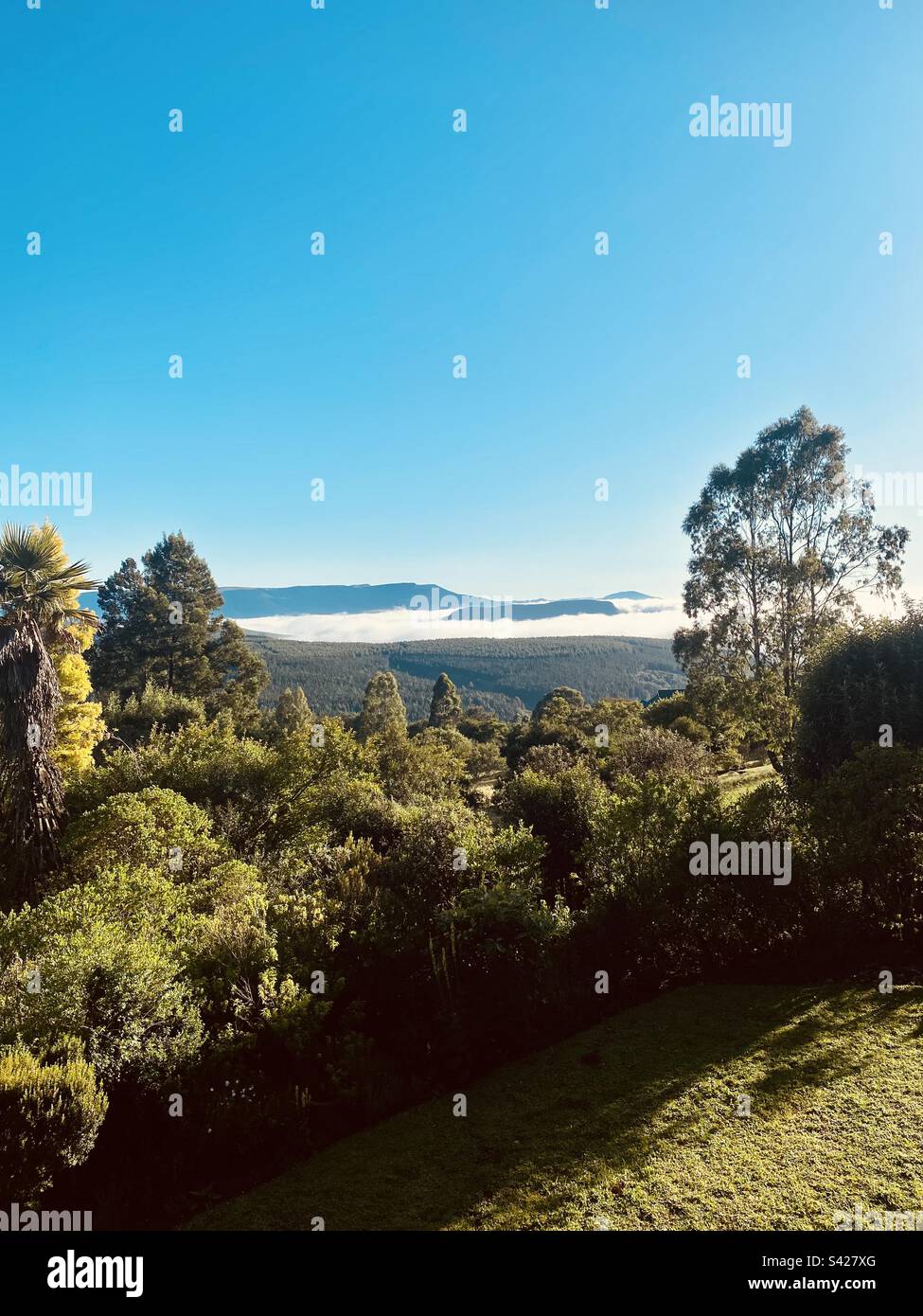 Rolling through hi-res stock photography and images - Alamy