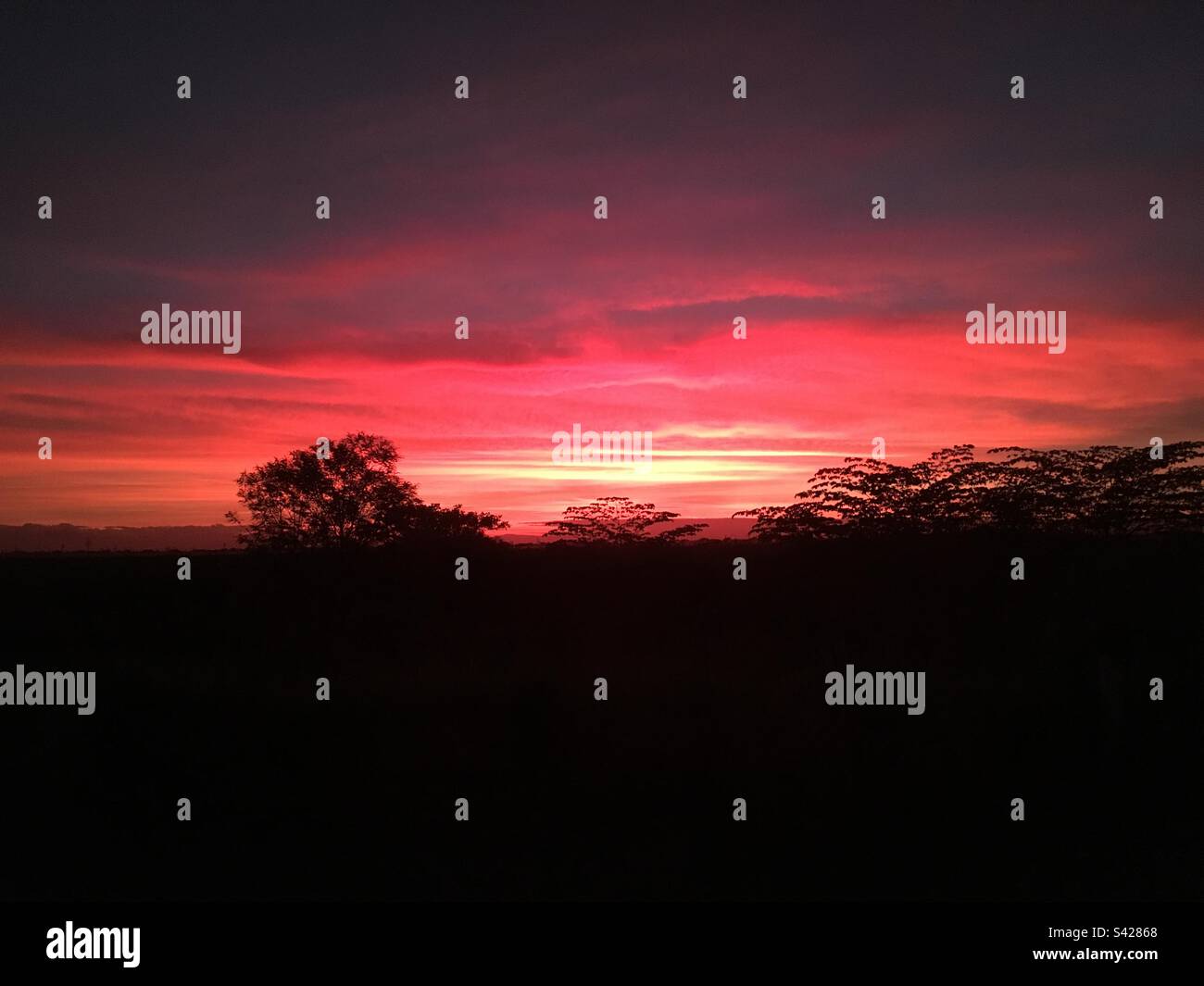 Summer capital of the philippines hi-res stock photography and images ...