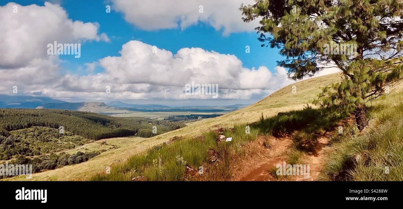 Hiking trail in Howick Stock Photo - Alamy