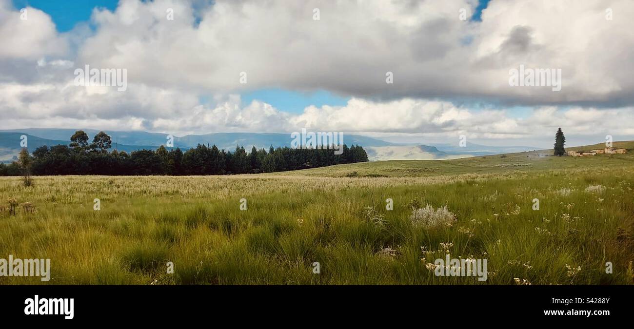 Howick, South Africa Stock Photo - Alamy