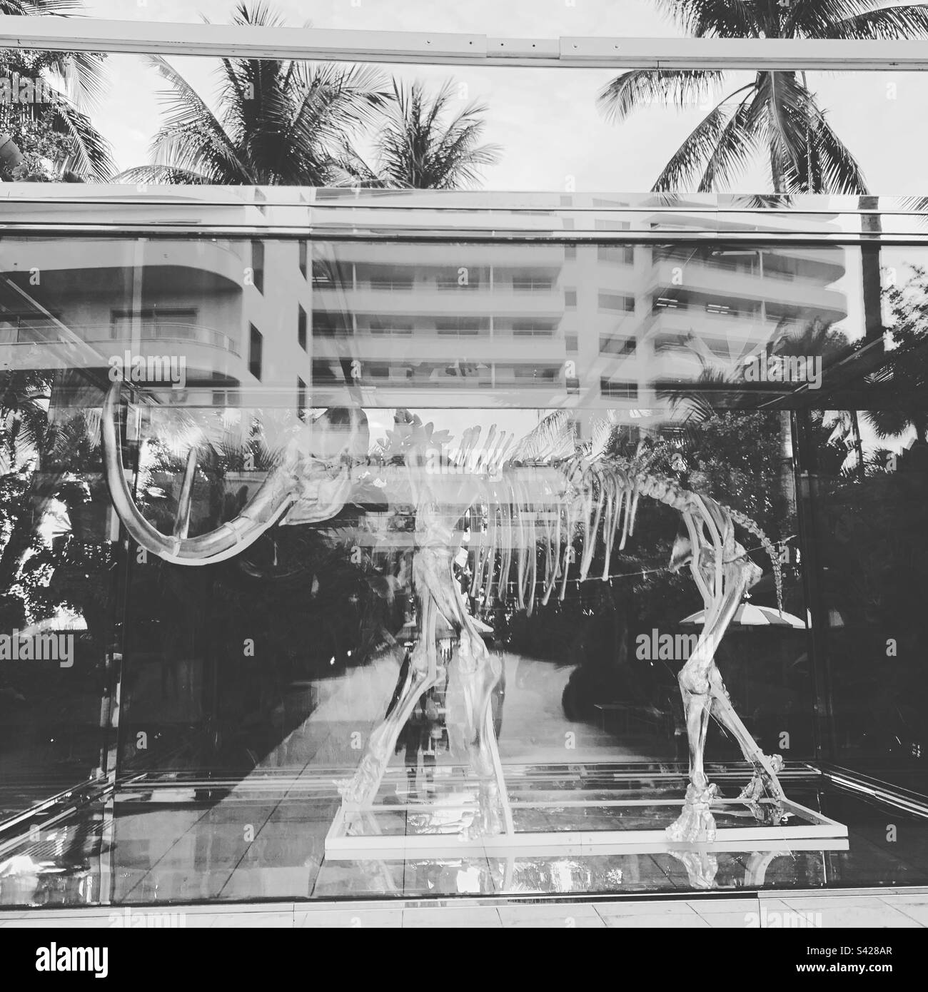 Faena miami beach hi-res stock photography and images - Alamy