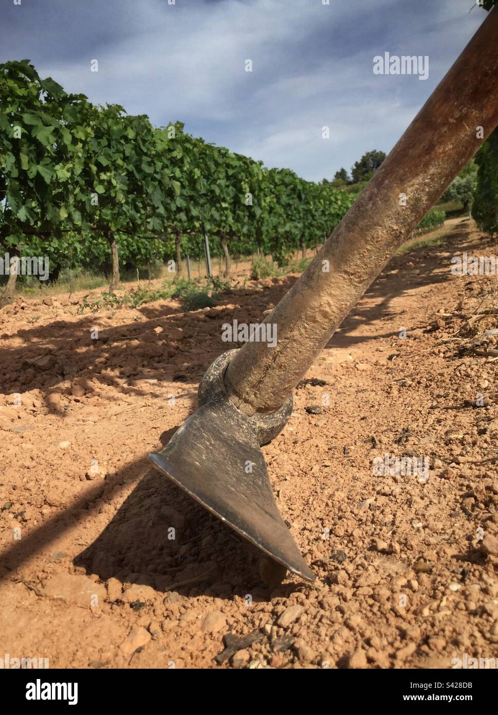 Mattock hi-res stock photography and images - Alamy