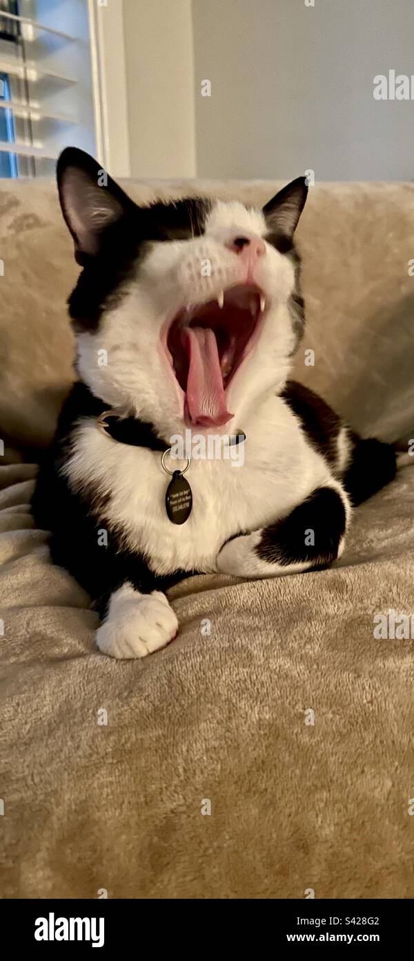 You sing loud hi-res stock photography and images - Alamy