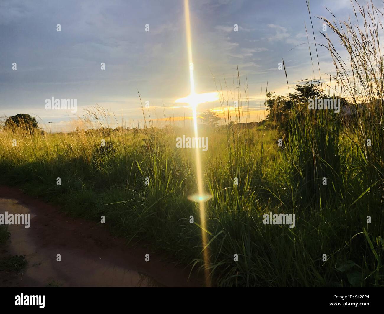 Savannah sunset hi-res stock photography and images - Alamy