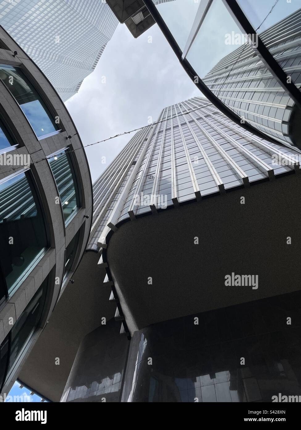 Ants eye view hi-res stock photography and images - Alamy