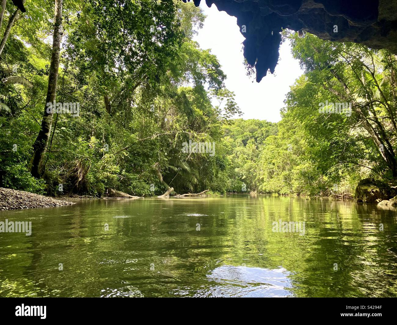 Caves Branch River, Belize Stock Photo - Alamy