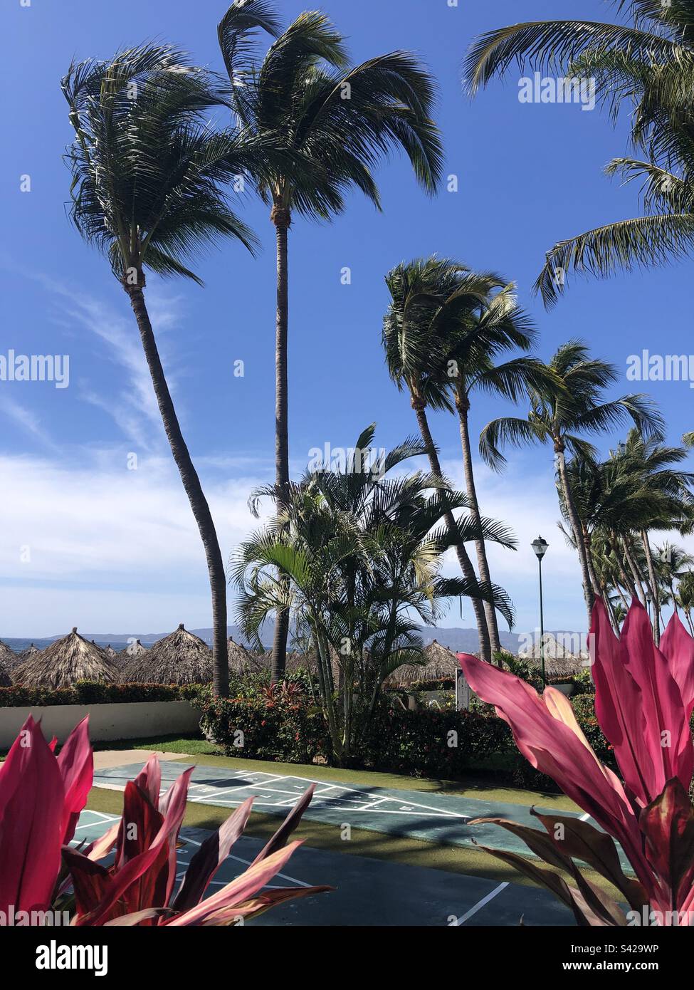 Breezy hi-res stock photography and images - Alamy