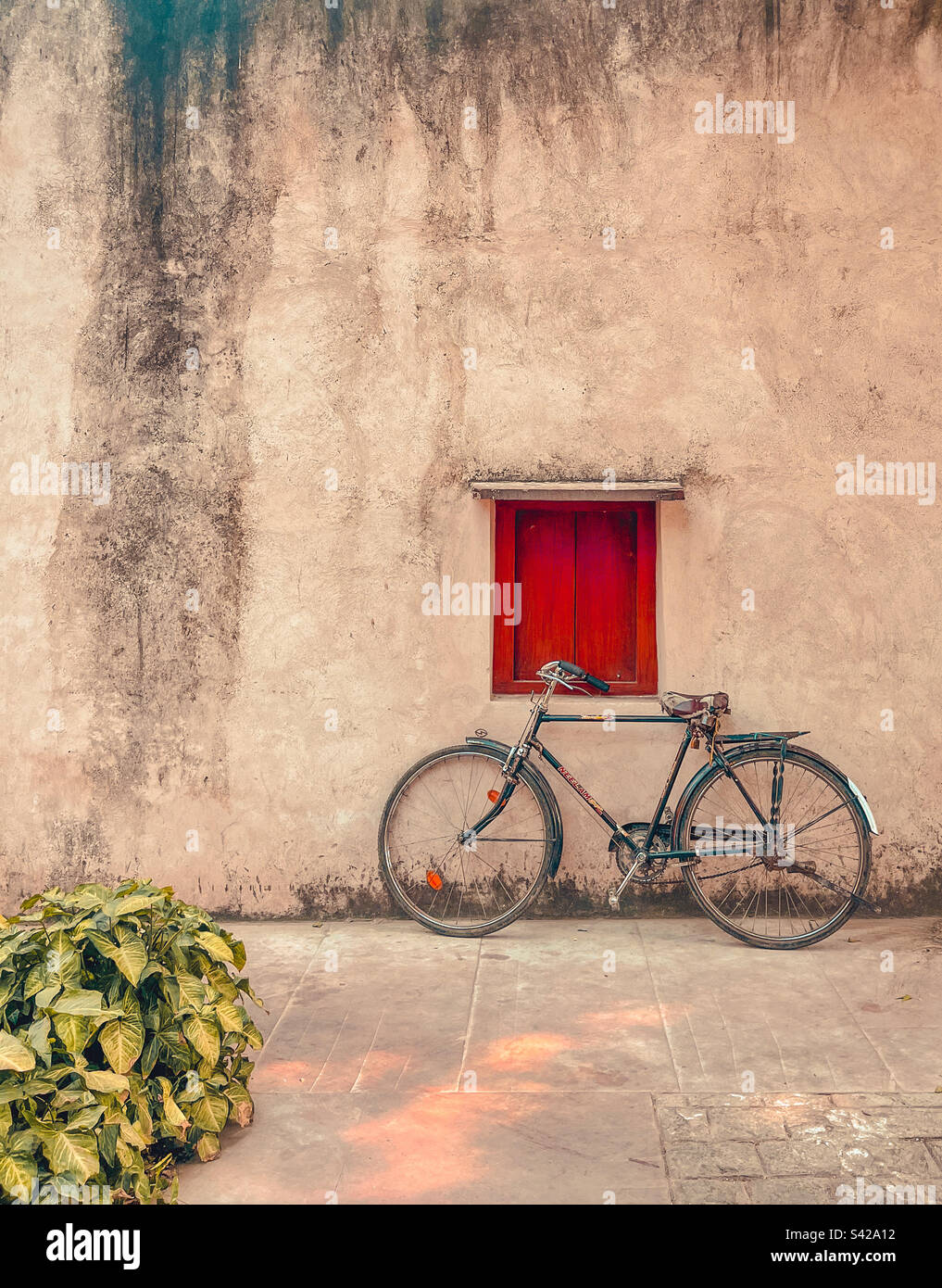 Window cycle hi-res stock photography and images - Alamy