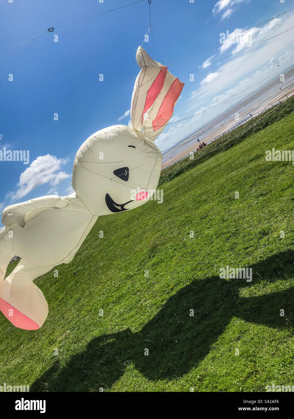Bunny rabbit in grass smartphone stock photos and images - Alamy