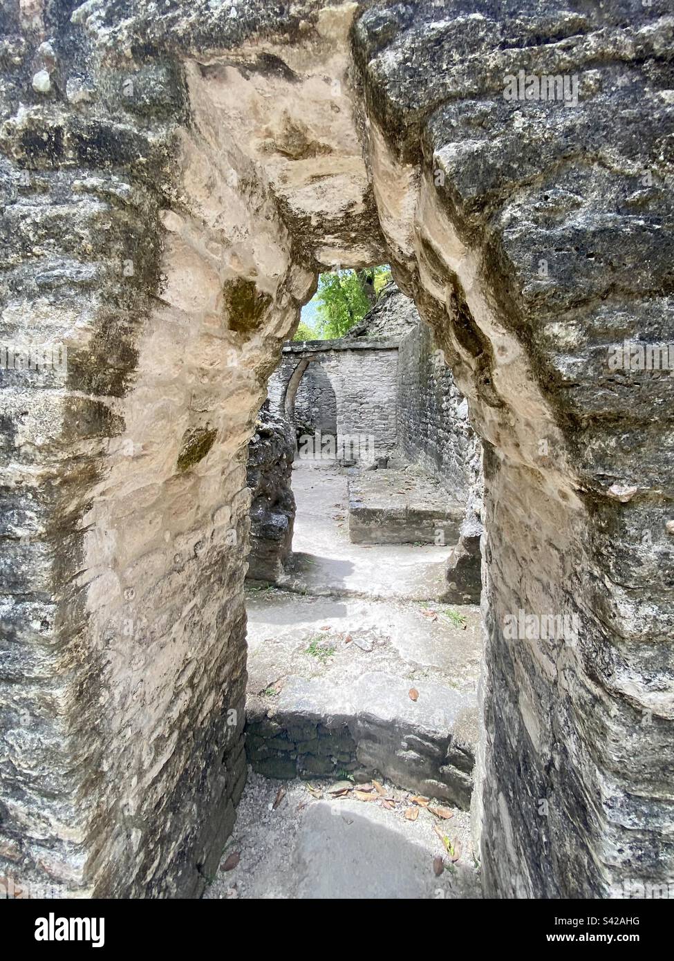 Arched passages in a Mayan ruin structure at Cahal Pech Archaelogical ...