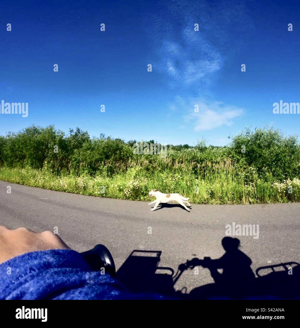 Atv and dog hi-res stock photography and images - Alamy