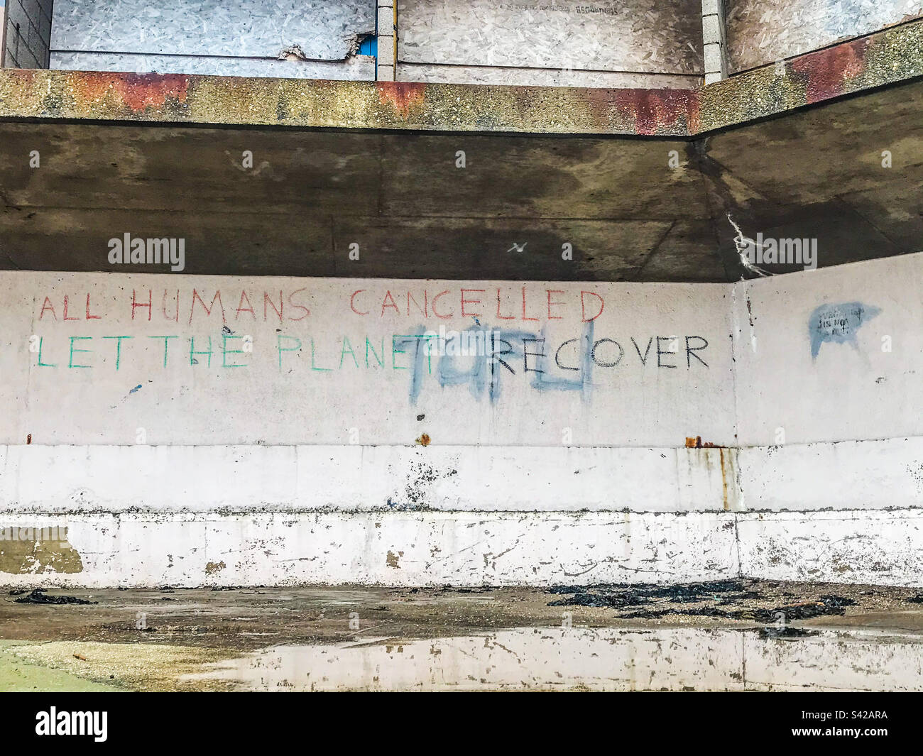 Activist climate message Stock Photo - Alamy