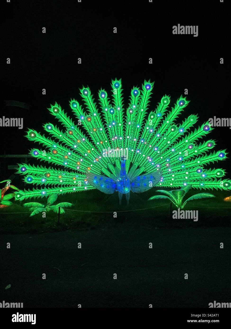 Life with lights hi-res stock photography and images - Alamy