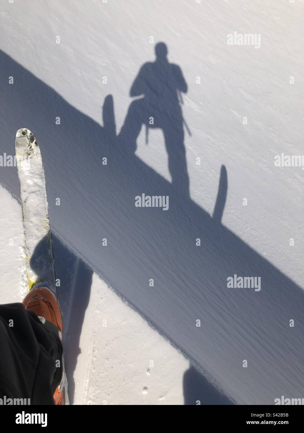 Splitted Shadow taken by a Tour Skier Stock Photo - Alamy